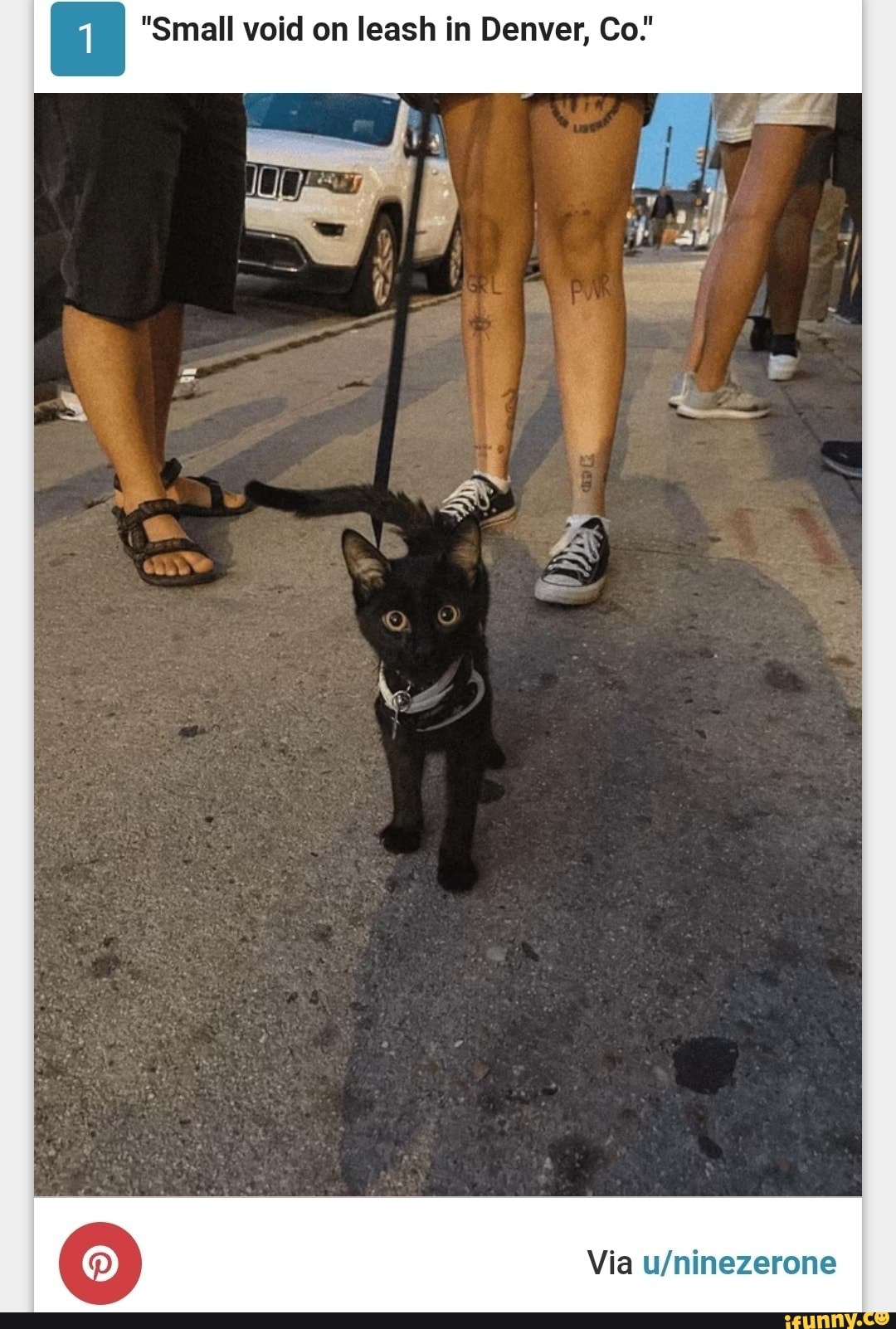 "Small void on leash in Denver, Co." Via - iFunny