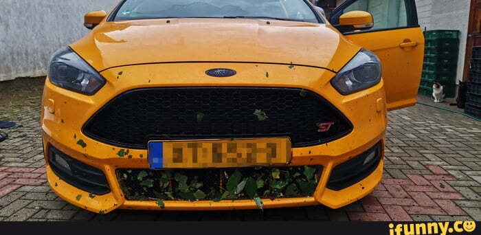 Ford_focus_st memes. Best Collection of funny Ford_focus_st pictures on ...