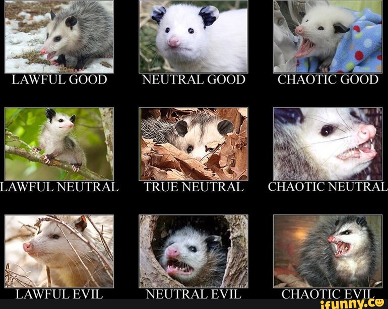 LAWFUL GOOD NEUTRAL GOOD CHAOTIC GOOD LAWFUL NEUT RA TRUE NEUTRAL ...