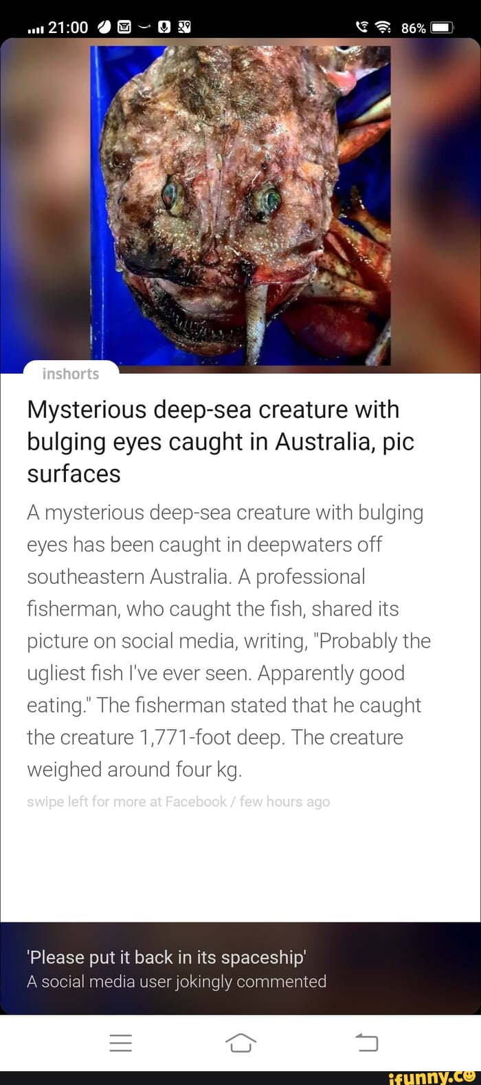DU~ OB Mysterious deep-sea creature with bulging eyes caught in ...