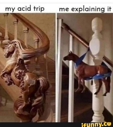 My acid trip me explaining it - iFunny