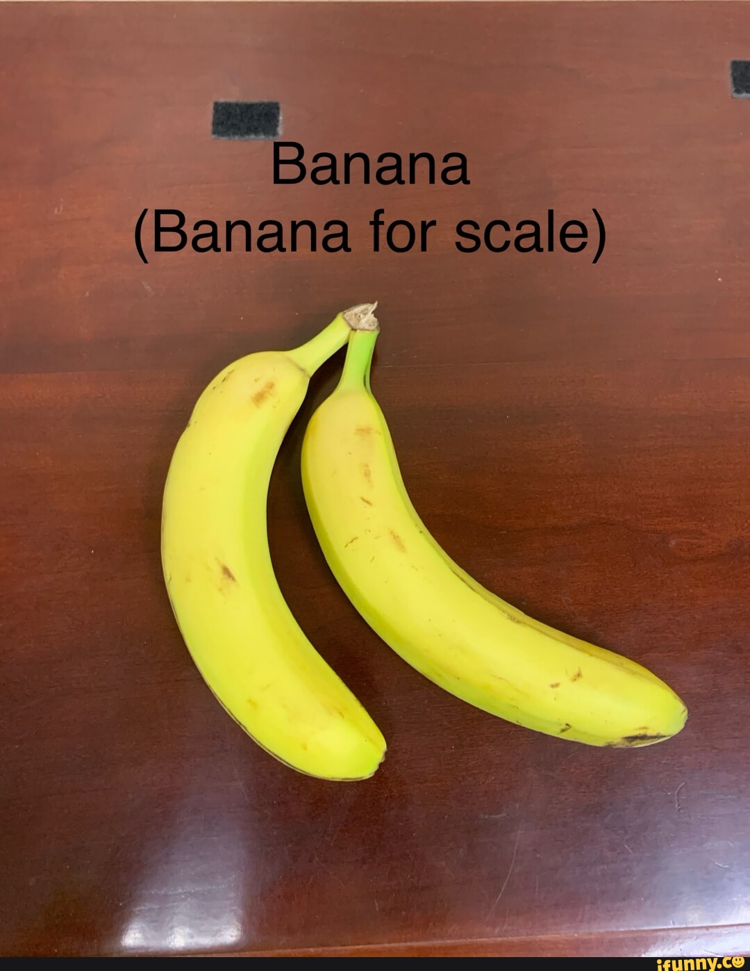 Banana_for_scale memes. Best Collection of funny Banana_for_scale ...