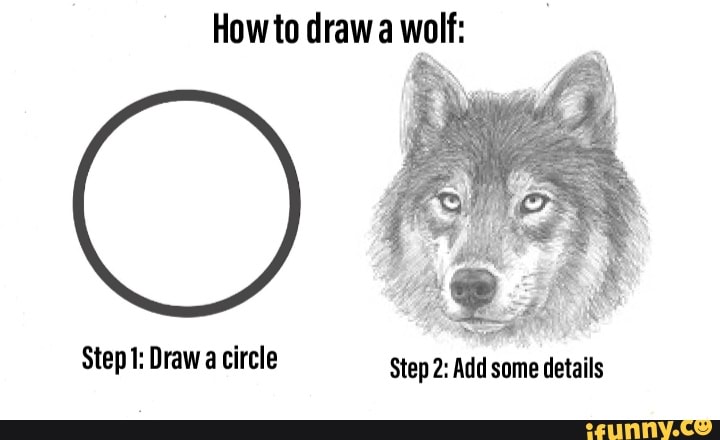 How to draw a wolf: Step Draw a circle Step 2: Add some details - iFunny