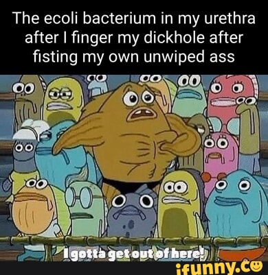 Unwiped memes. Best Collection of funny Unwiped pictures on iFunny