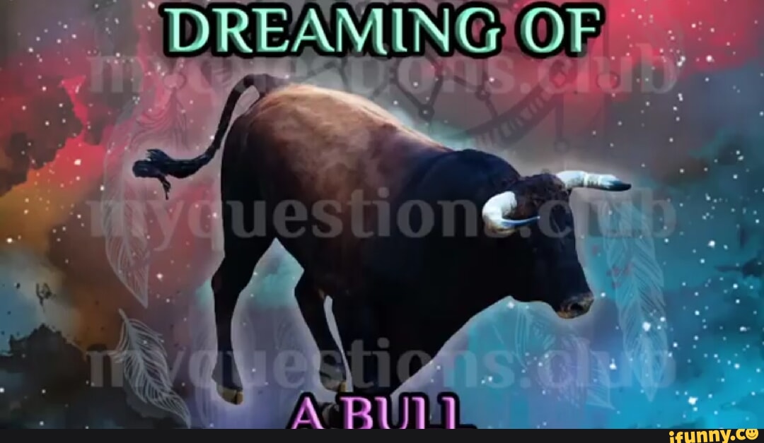 Ambatukam memes. Best Collection of funny Ambatukam pictures on iFunny