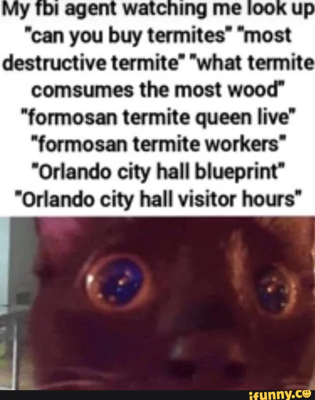 Termites memes. Best Collection of funny Termites pictures on iFunny