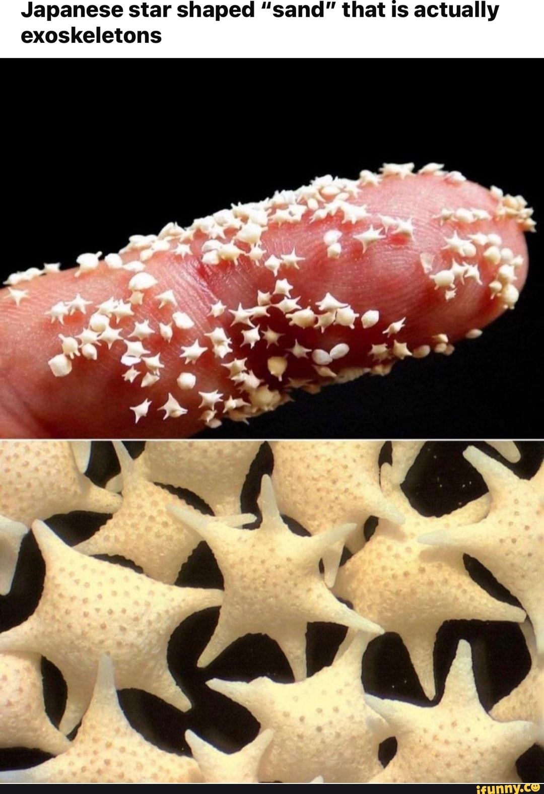 Exoskeletons memes. Best Collection of funny Exoskeletons pictures on ...