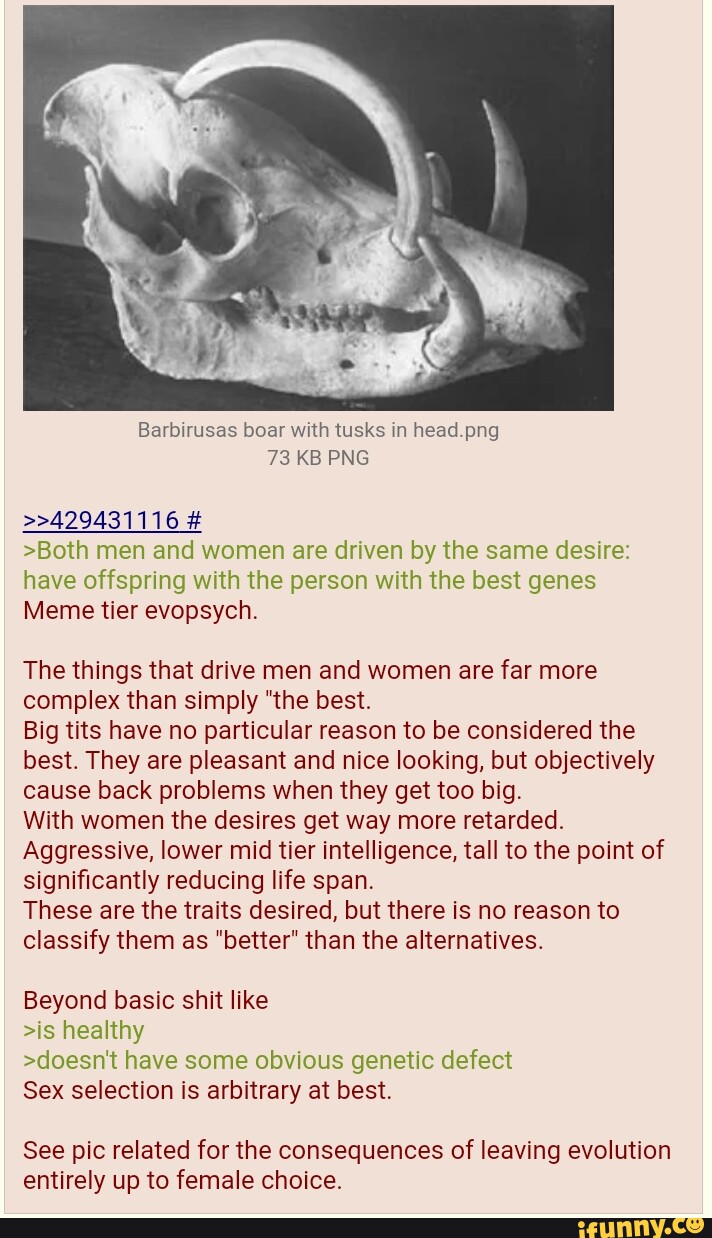 Tusks memes. Best Collection of funny Tusks pictures on iFunny