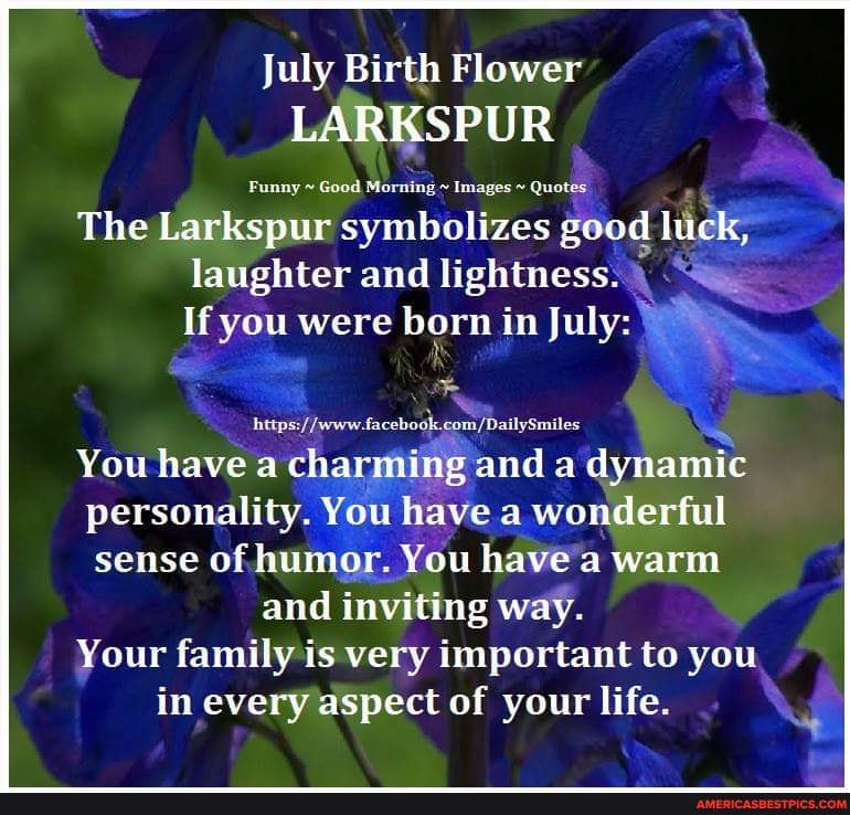 ...Larkspur... July Birth Flower "Happy Birthday" to all of you Born in ...