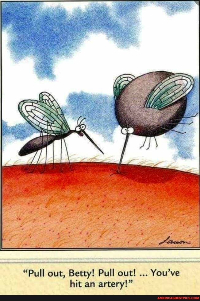 "Pull out, Betty! Pull out! You've hit an artery!" - America’s best ...