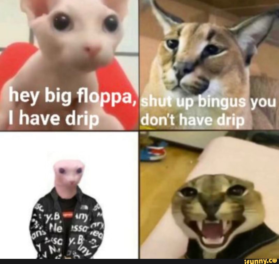 Hey big floppa chut up bingus you have drip dont have drip ag I Me - iFunny