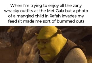 Bummed Memes