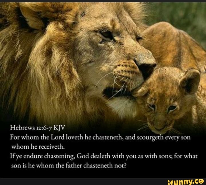 Hebrews KJV For whom the Lord loveth he chasteneth, and seourgech every ...