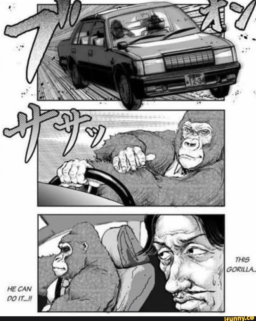 Gormal memes. Best Collection of funny Gormal pictures on iFunny