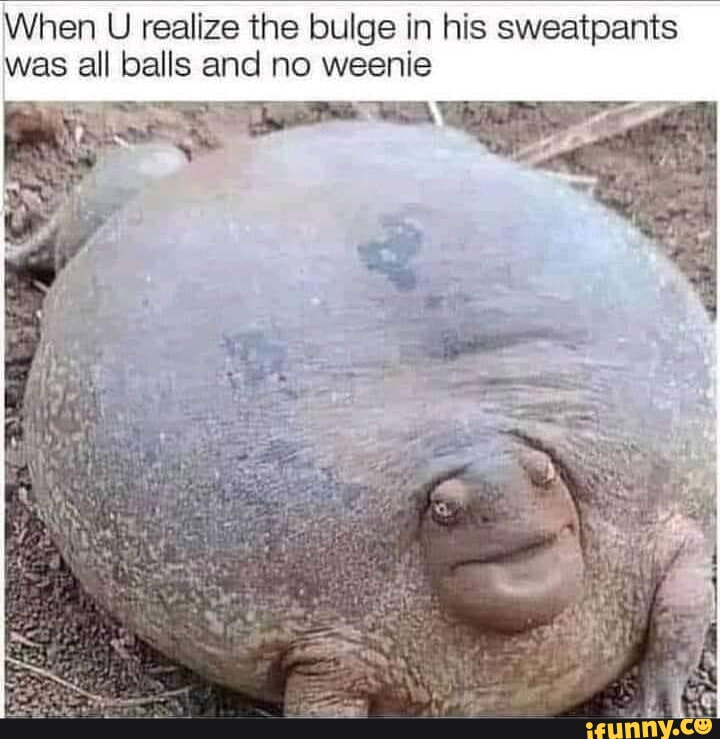 Weenie memes. Best Collection of funny Weenie pictures on iFunny