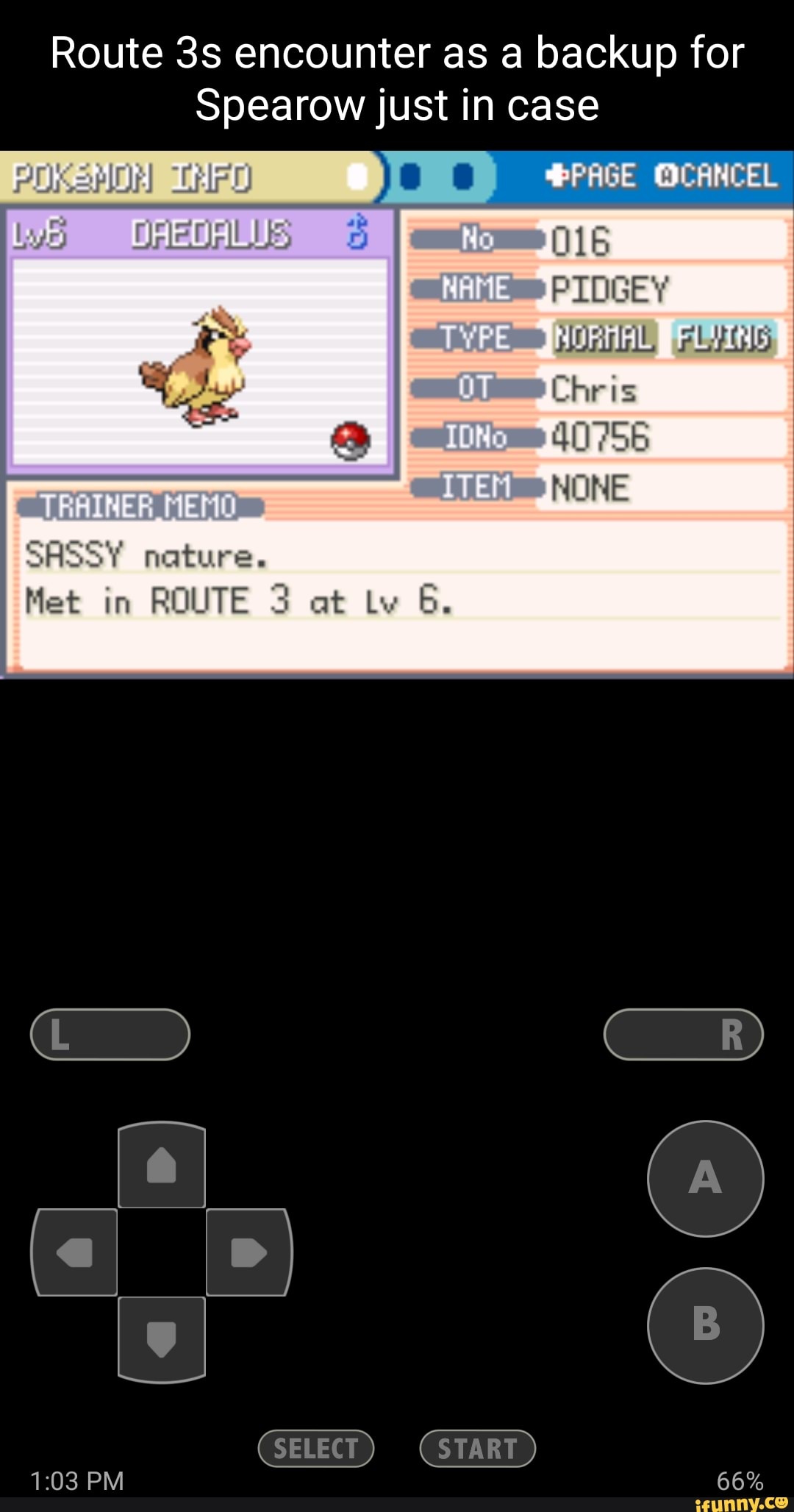 Route encounter as a backup for Spearow just in case Ko PAGE CANCEL ...