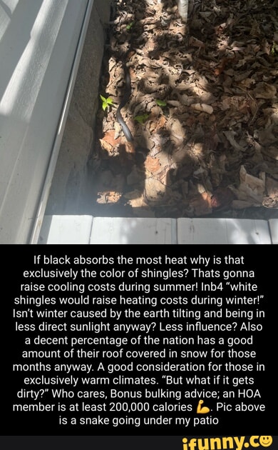 Shingles memes. Best Collection of funny Shingles pictures on iFunny