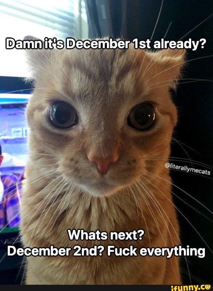 Already? terallymecats Whats next? December Fuck everything - iFunny