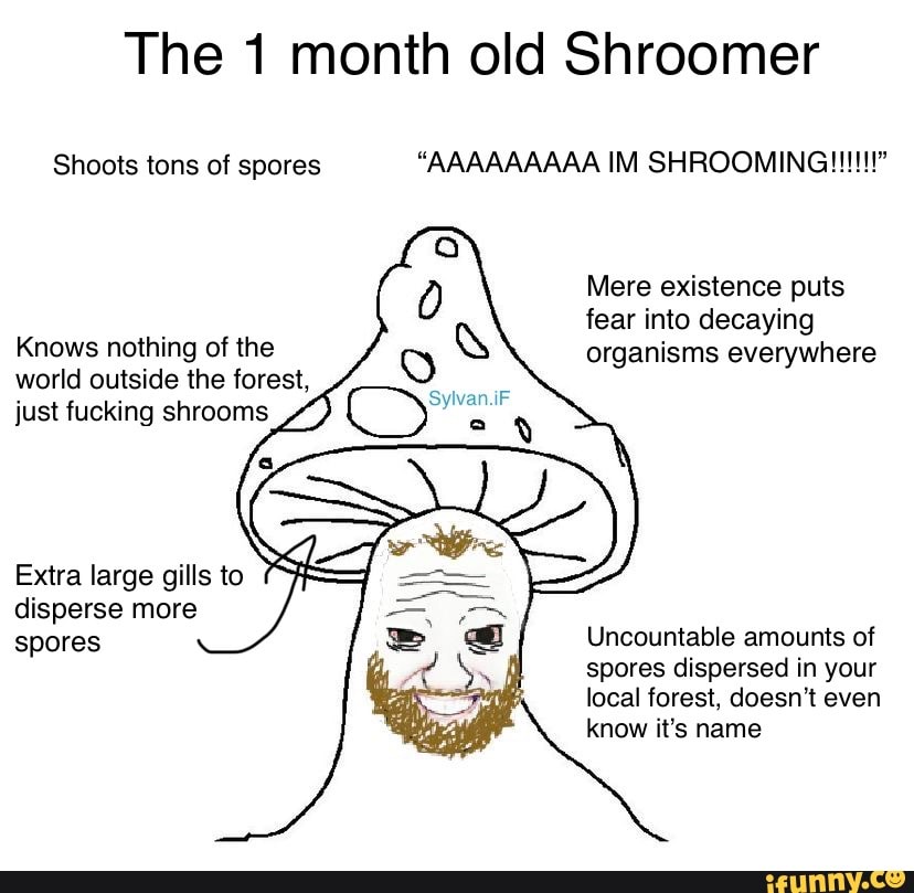 Shrooming memes. Best Collection of funny Shrooming pictures on iFunny