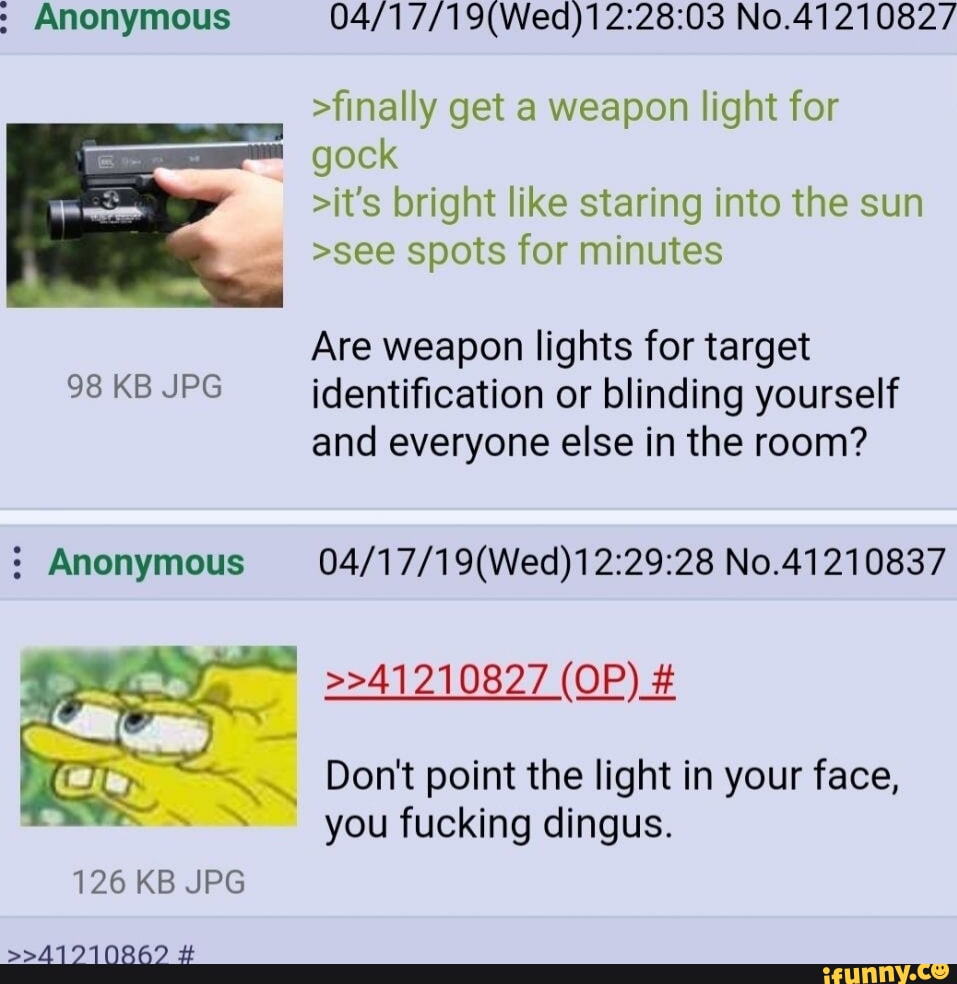 Anonymous (Wee) No.41210827 gock >finally get a weapon light for >it's ...