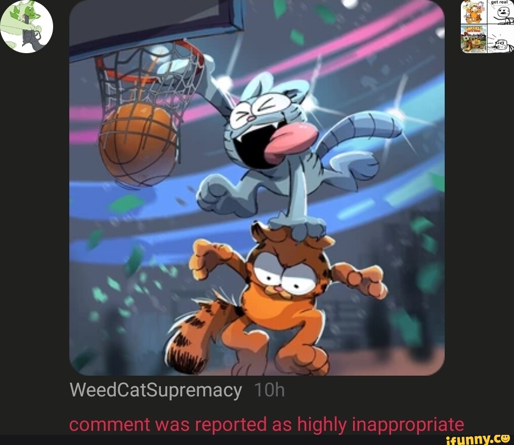 WeedCatSupremacy comment was reported as highly inappropriate - iFunny