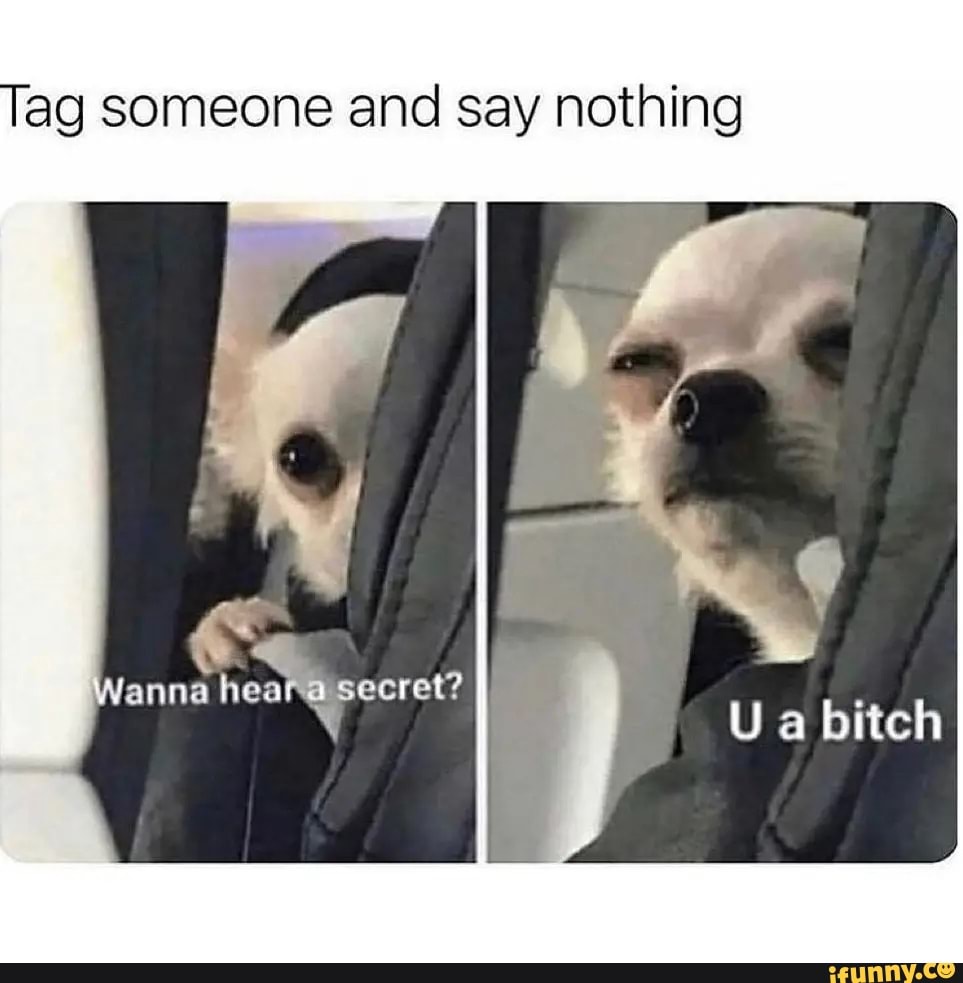 Laiteh memes. Best Collection of funny Laiteh pictures on iFunny