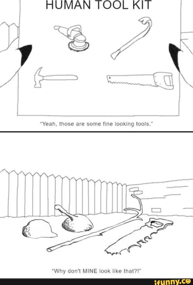 HUMAN TOOL KIT "Yeah, those are "Why don't MINE look like that?! some ...