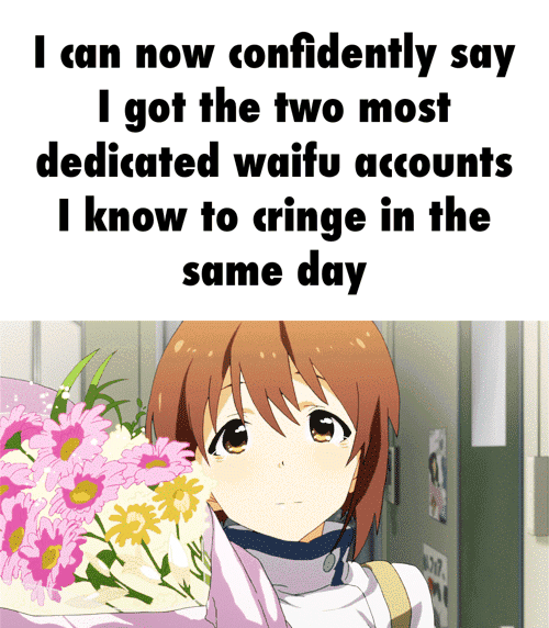 Can now confidently say got the two most dedicated waifu accounts I ...