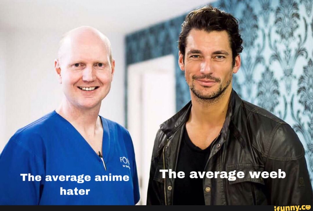 The average anime The average weeb hater - iFunny