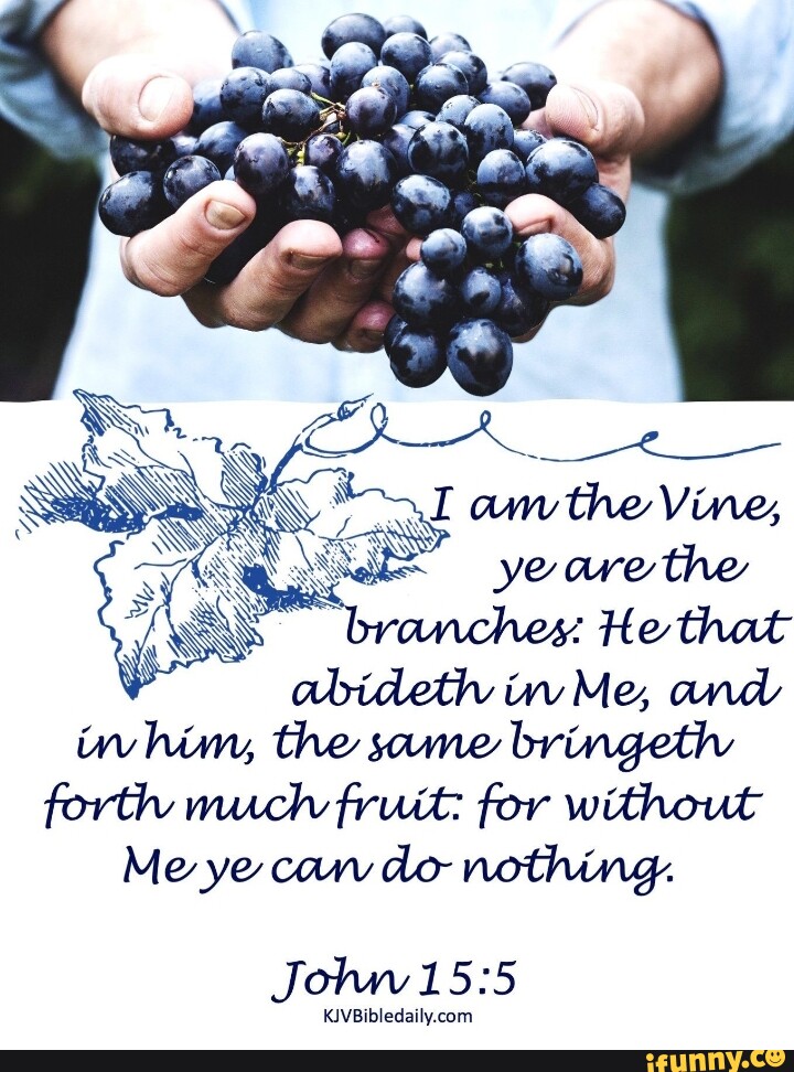 He that Me, forth much fruit: for without Me ye caw do nothing. Johw ...
