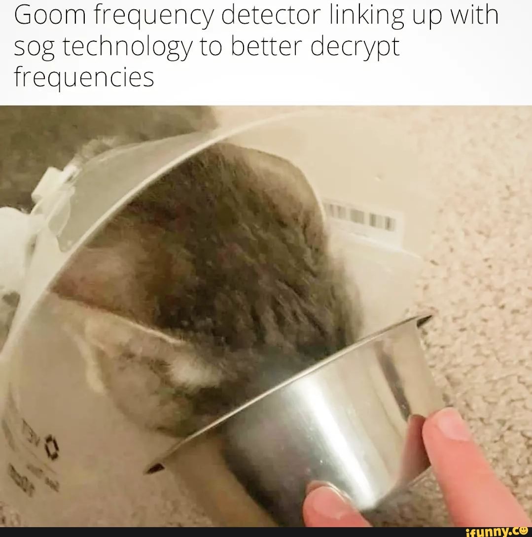 Decrypt memes. Best Collection of funny Decrypt pictures on iFunny