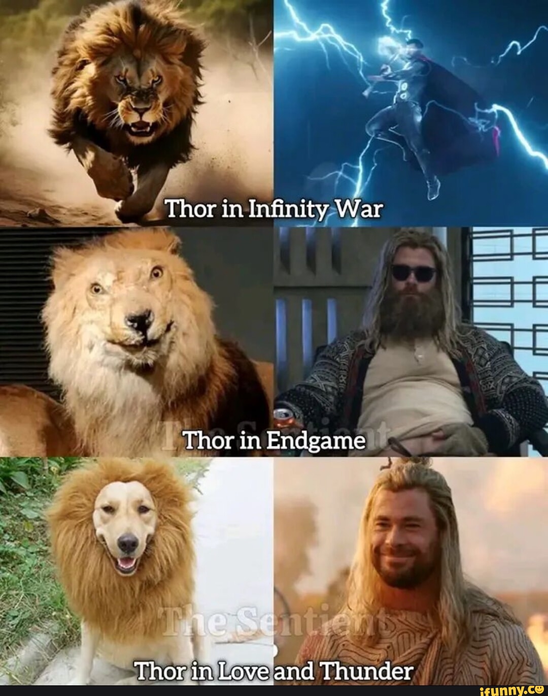 Thor in Infinity War Thor in Endgame Thor in Love and Thunder - iFunny