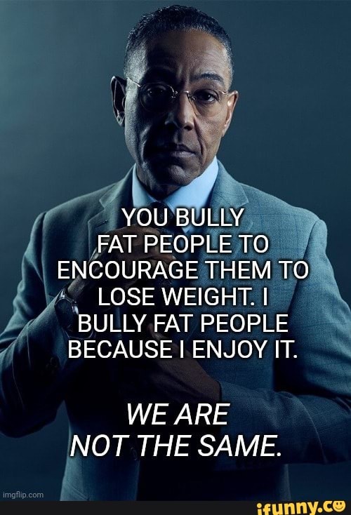 YOU BULLY FAT PEOPLE TO ENCOURAGE THEM TO LOSE WEIGHT. I BULLY FAT ...