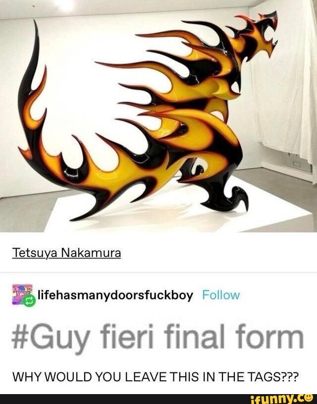 Tetsuya Nakamura lifehasmanydoorsfuckboy Follow #Guy fieri final form ...