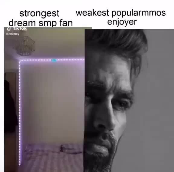 Strongest weakest popularmmos dream smp fan enjoyer - )