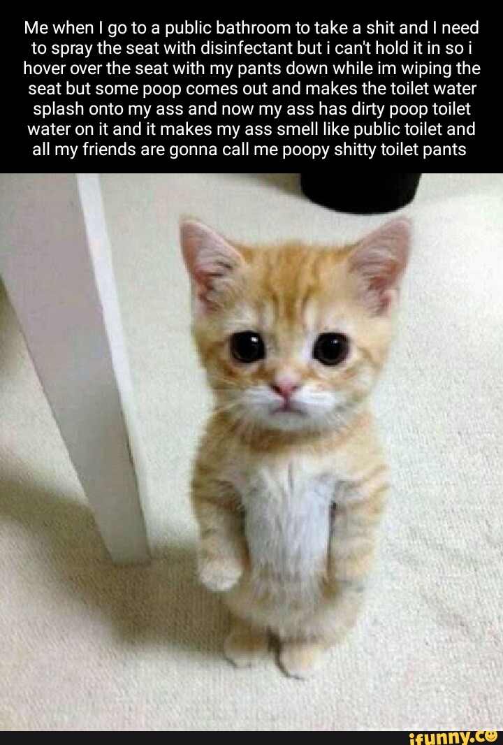 Me when I go to a public bathroom to take a shit and I need to spray ...