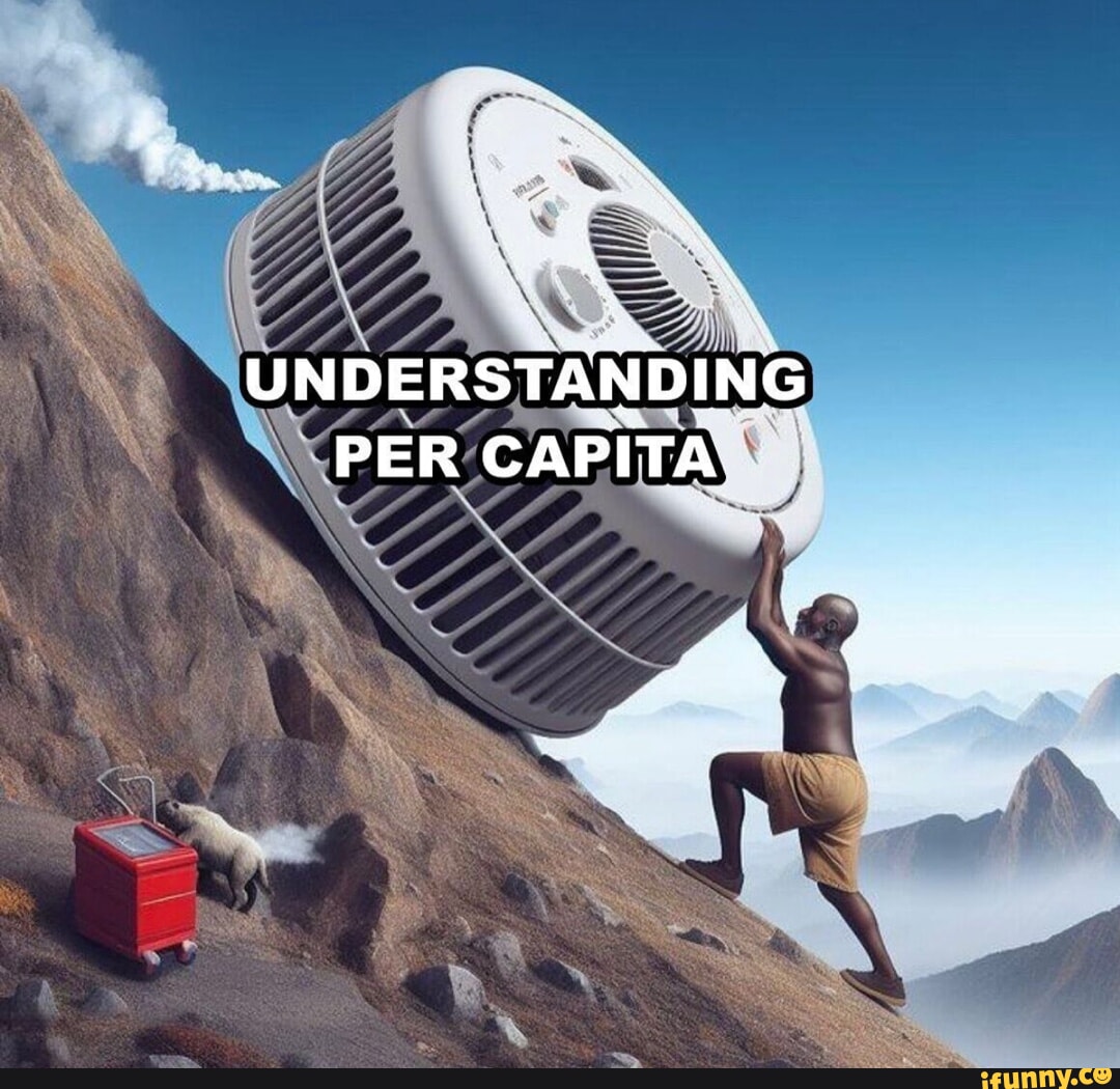 UNDERSTANDING PER CAPITA, - iFunny