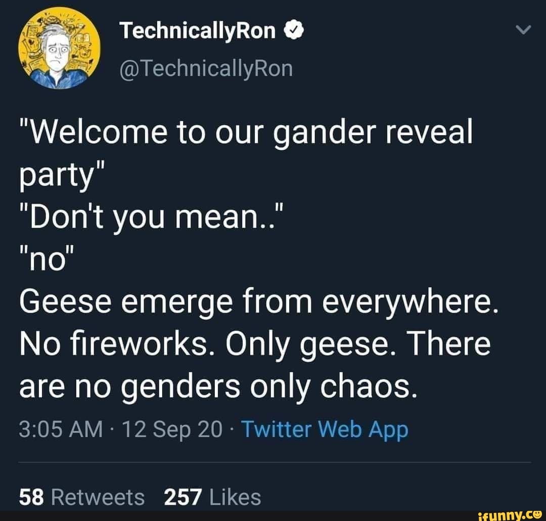 TechnicallyRon "Welcome to our gander reveal party" "Don't you mean ...
