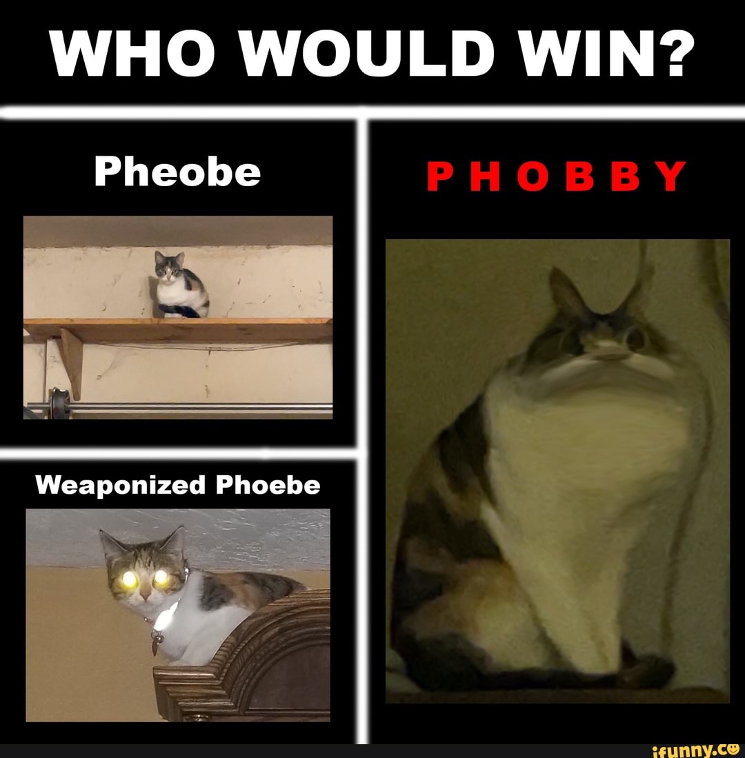 Who you got?? - WHO WOULD WIN? Pheobe Weaponized Phoebe - iFunny