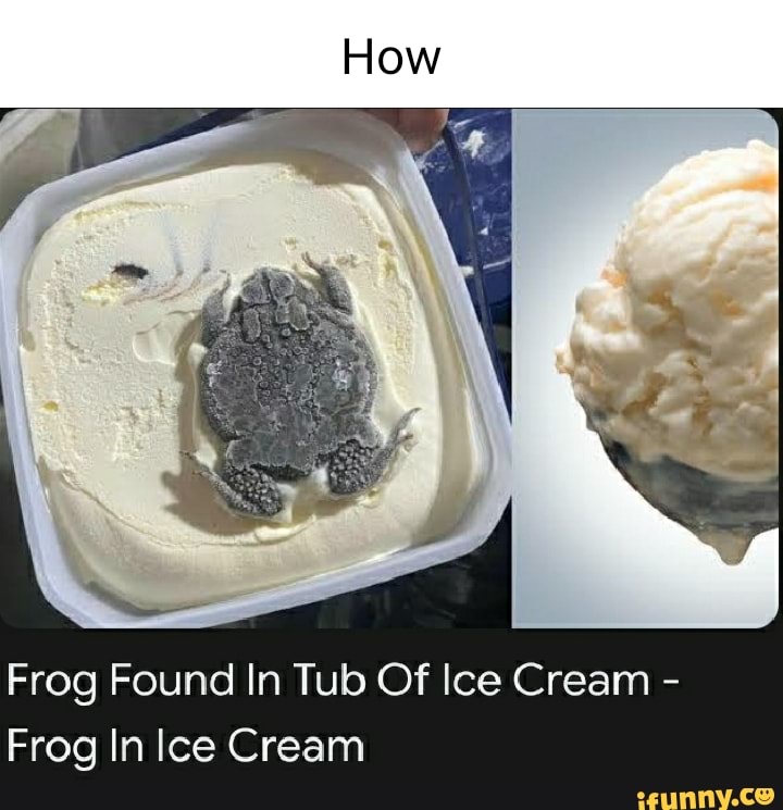 How Frog Found In Tub Of Ice Cream - Frog In ice Cream - iFunny