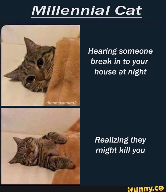 Millennial Cat - iFunny