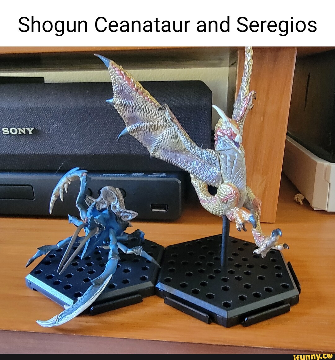 Seregios memes. Best Collection of funny Seregios pictures on iFunny