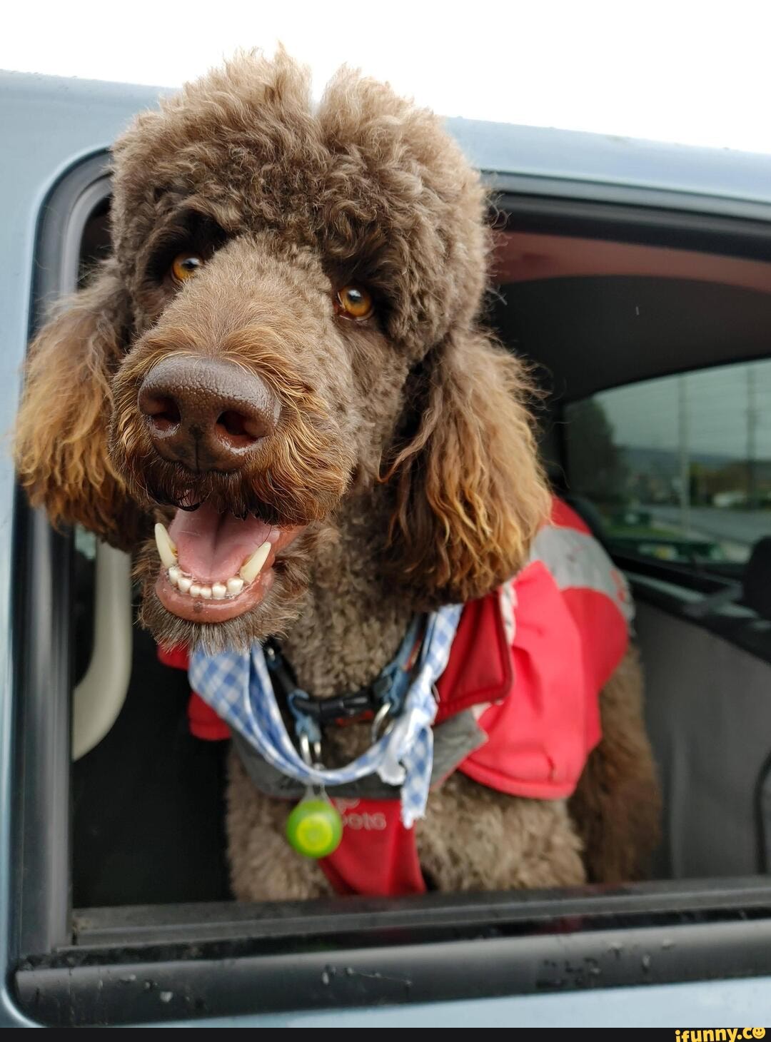 Fynn memes. Best Collection of funny Fynn pictures on iFunny