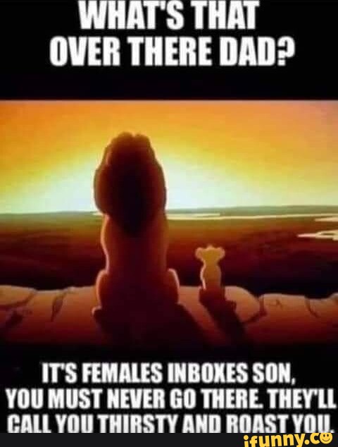WHATS THAT OVER THERE DAD? IT'S FEMALES INBOXES SON, YOU MUST NEVER GO ...