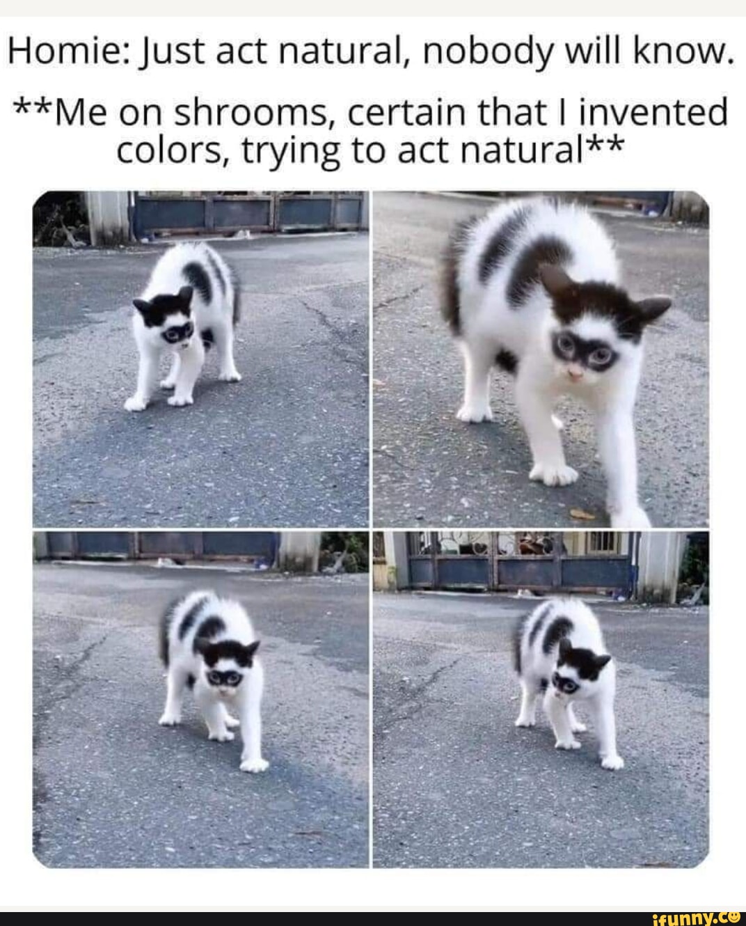 Homie: Just act natural, nobody will know. **Me on shrooms, certain ...