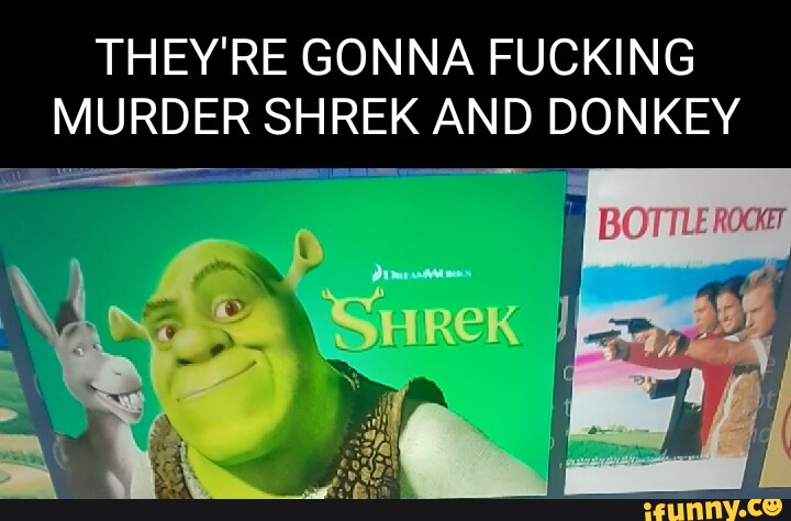 THEY'RE GONNA FUCKING MURDER SHREK AND DONKEY - iFunny
