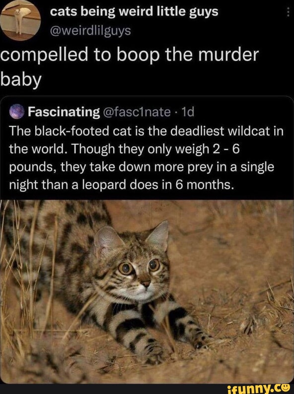 Tennessee actually has 12 seasons.. Winter Fool's Spring Second Winter ...