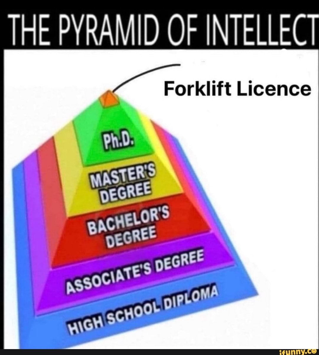 THE PYRAMID OF INTELLECT I Forklift Licence - iFunny