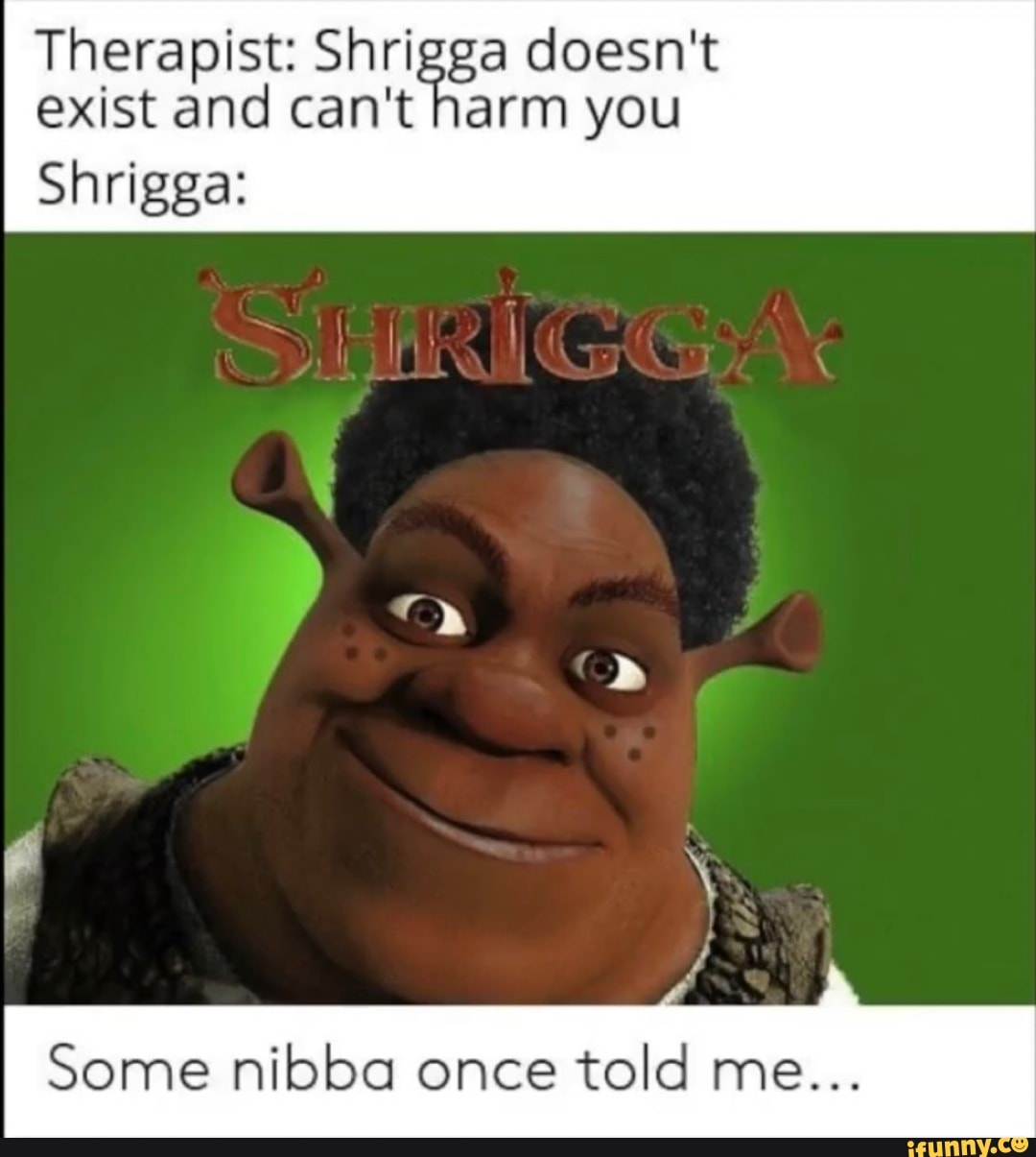Therapist: SALER doesn't exist and can't Shrigga: arm you Some nibba ...