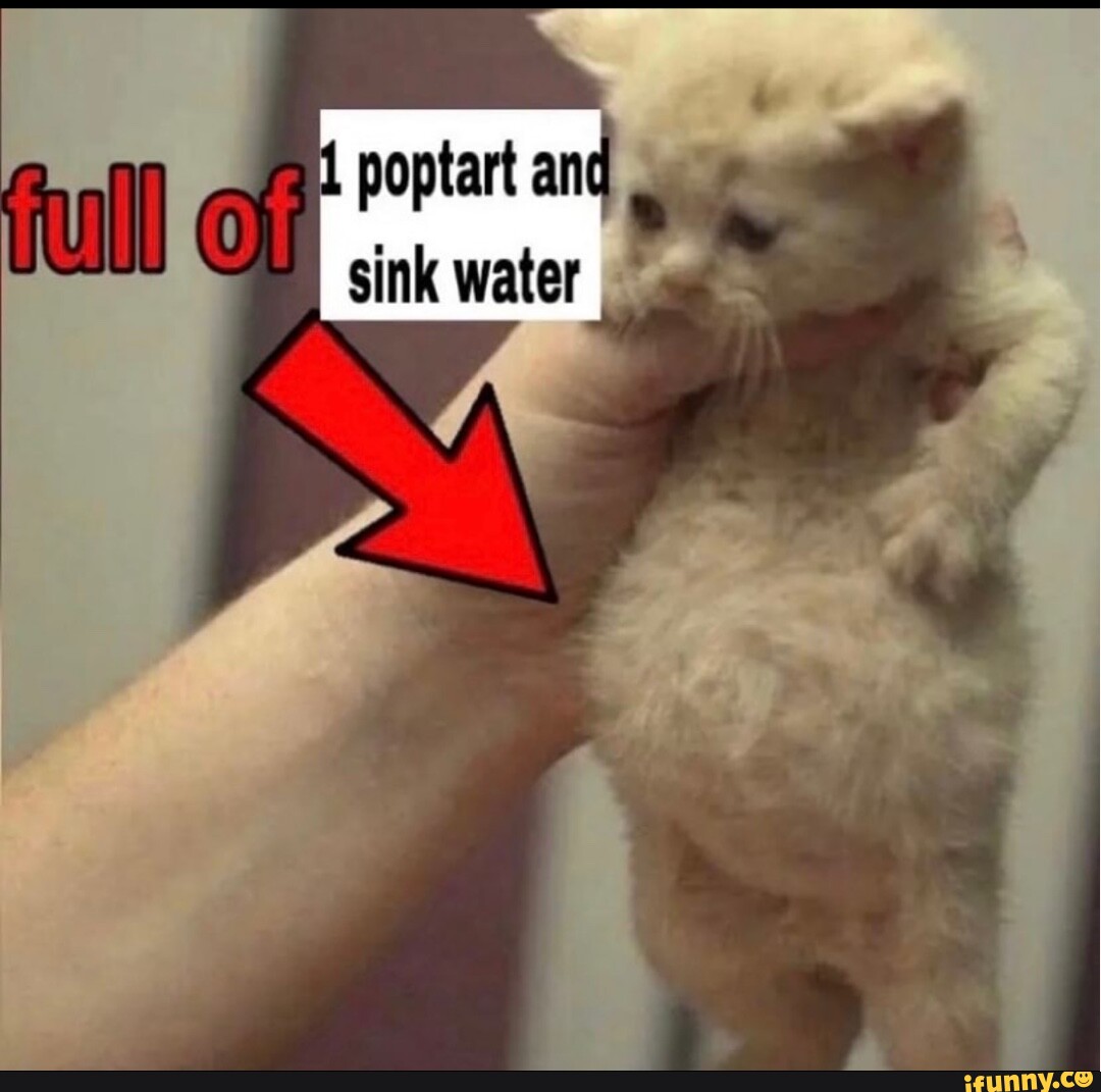 Sinkwater memes. Best Collection of funny Sinkwater pictures on iFunny
